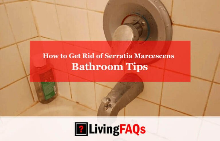 How to Get Rid of Serratia Marcescens: Bathroom Tips!